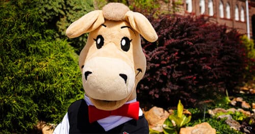 Missouri State Fair | Aug 7-17, 2025