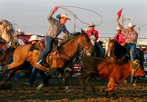 Rodeos & Bull Riding | Missouri State Fair